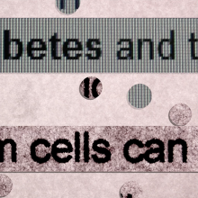 Explore Stem Cells Eurostemcell
